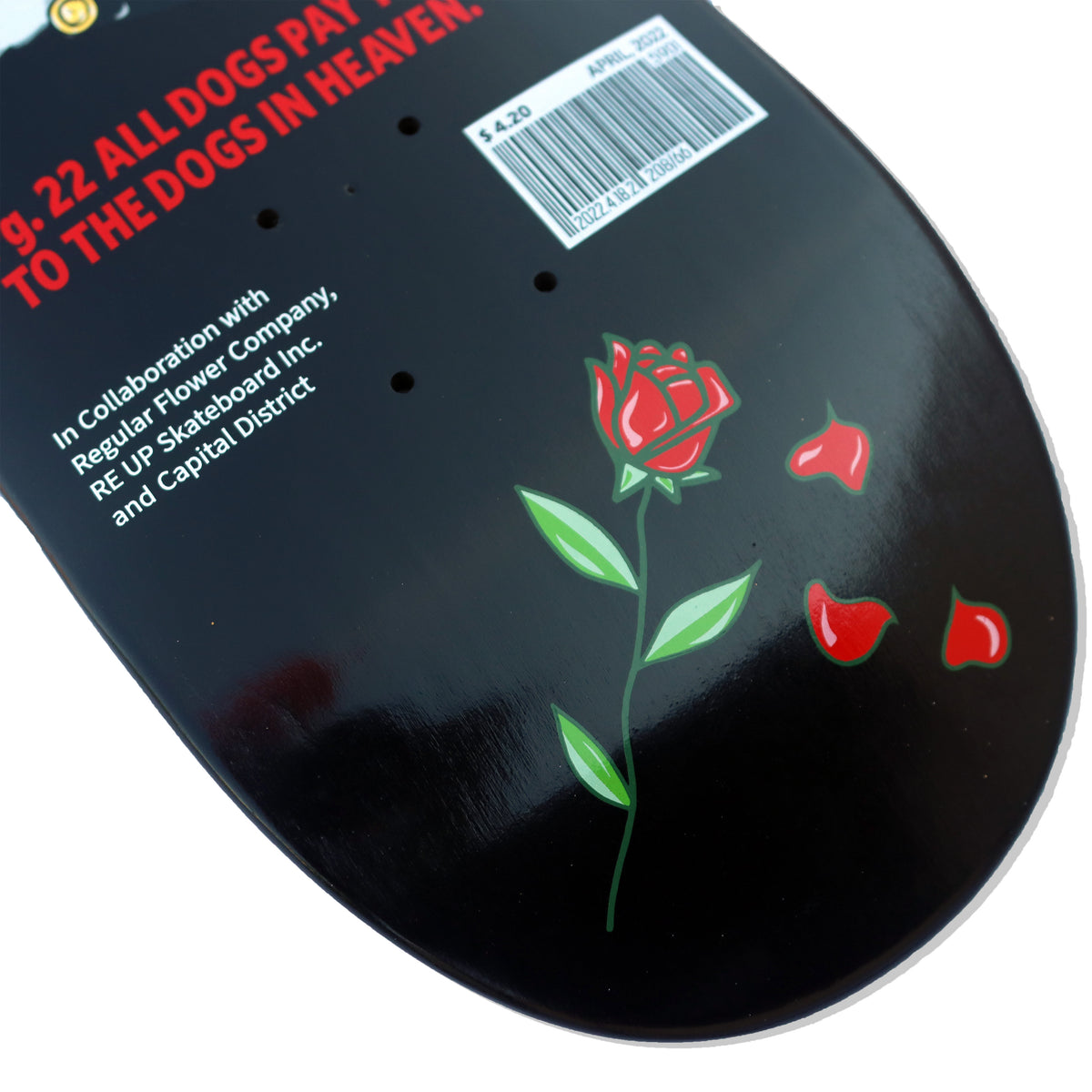 All Dogs Decks – Capital District